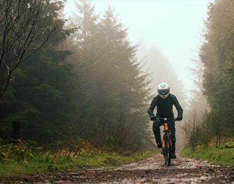 Glens & Forests - Visit Isle of Man
