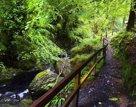 Glens & Forests - Visit Isle of Man