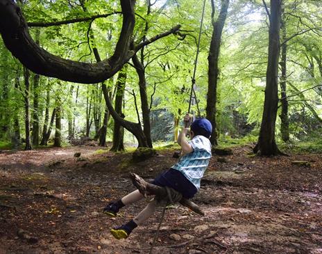 Glens & Forests - Visit Isle of Man
