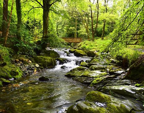 Glens & Forests - Visit Isle of Man