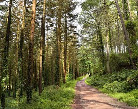 Glens & Forests - Visit Isle of Man