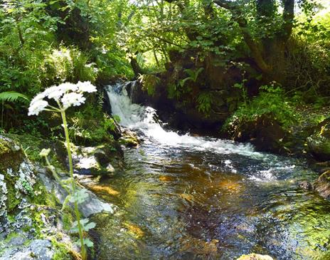 Glens & Forests - Visit Isle of Man