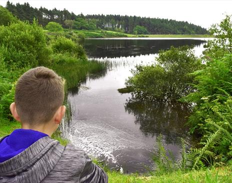 Reservoirs - Visit Isle of Man