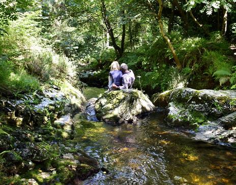 Glens & Forests - Visit Isle of Man
