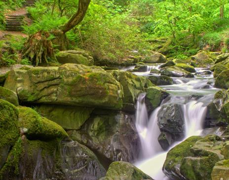 Glens & Forests - Visit Isle of Man