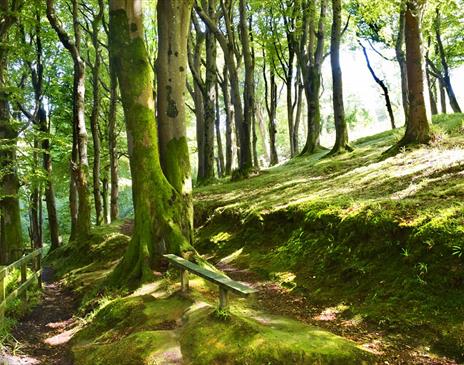 Glens & Forests - Visit Isle of Man