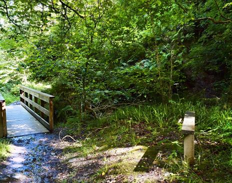 Glens & Forests - Visit Isle of Man