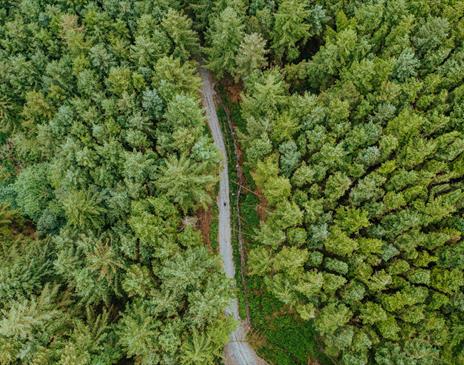 Glens & Forests - Visit Isle of Man