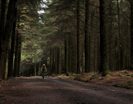 Glens & Forests - Visit Isle of Man