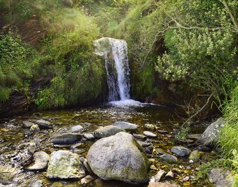 Glens & Forests - Visit Isle of Man