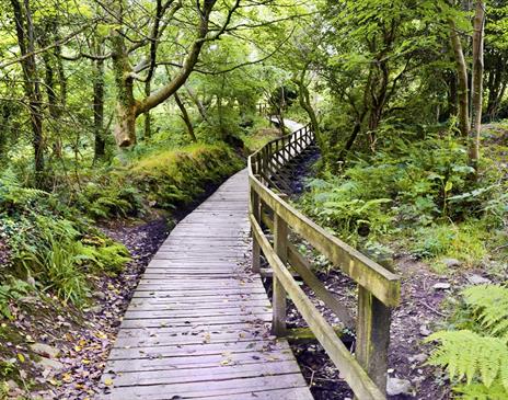 Glens & Forests - Visit Isle of Man