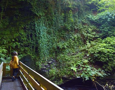 Glens & Forests - Visit Isle of Man
