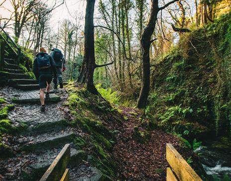 Glens & Forests - Visit Isle of Man