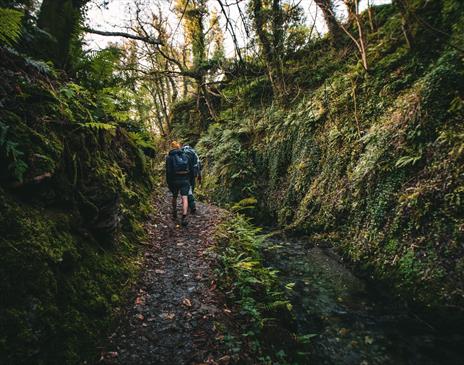 Glens & Forests - Visit Isle of Man