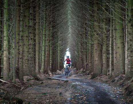 Glens & Forests - Visit Isle of Man