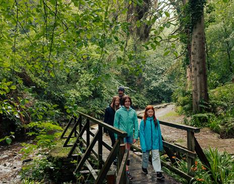 Glens & Forests - Visit Isle of Man