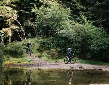 Glens & Forests - Visit Isle of Man