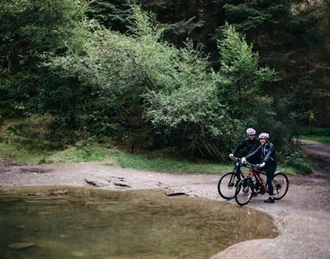 Glens & Forests - Visit Isle of Man
