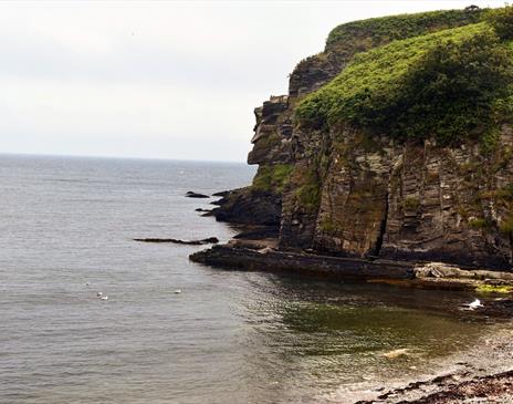 Glens & Forests - Visit Isle of Man