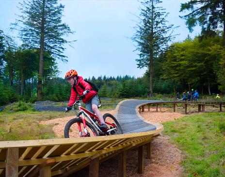 Glens & Forests - Visit Isle of Man