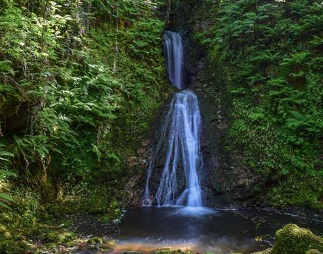 Glens & Forests - Visit Isle of Man