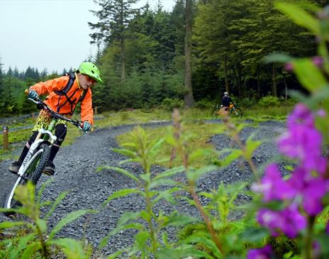 Glens & Forests - Visit Isle of Man
