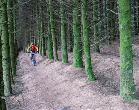 Glens & Forests - Visit Isle of Man