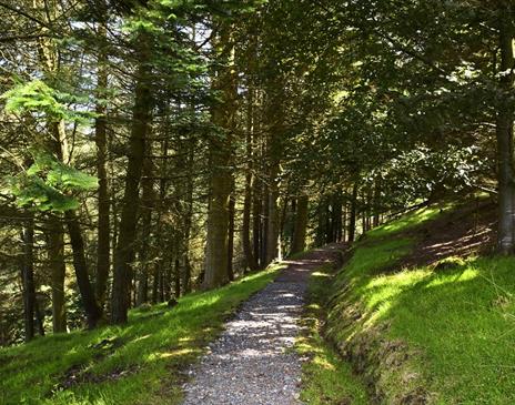Glens & Forests - Visit Isle of Man