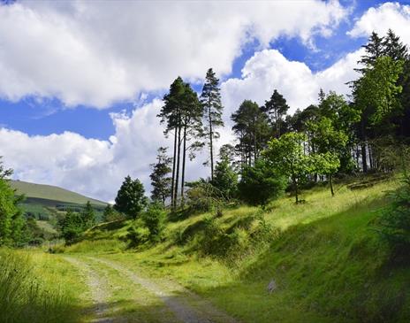 Glens & Forests - Visit Isle of Man
