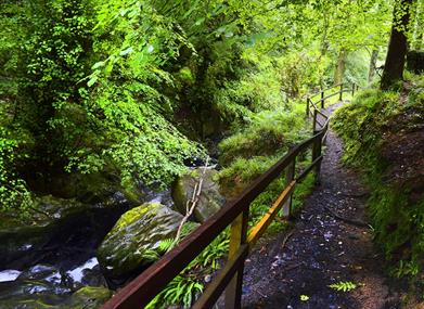 Railway Ramble: Ballaglass Glen, Port Cornaa, Glen Mona - Visit Isle of Man