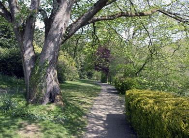 Tynwald National Park & Arboretum - Visit Isle of Man