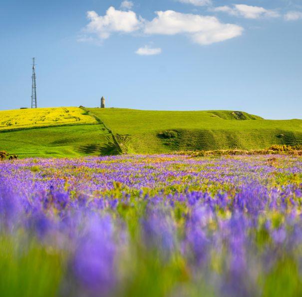 Visit Isle of Wight: Official travel guide to the Isle of Wight, UK
