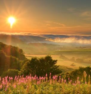 Be Inspired with things to do on the Isle of Wight