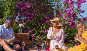 Picnic spots with a view - Visit Isle Of Wight