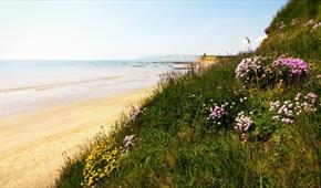 Brook Beach - Newport - Visit Isle Of Wight