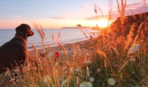 Brook Beach - Newport - Visit Isle Of Wight