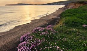 Compton Bay - Freshwater - Visit Isle Of Wight