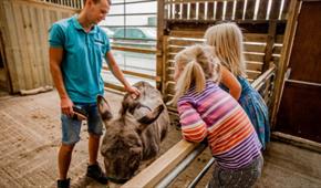 Tapnell Farm Park - Yarmouth - Visit Isle Of Wight