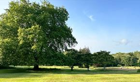 Gatcombe Park & Gardens - Newport - Visit Isle Of Wight