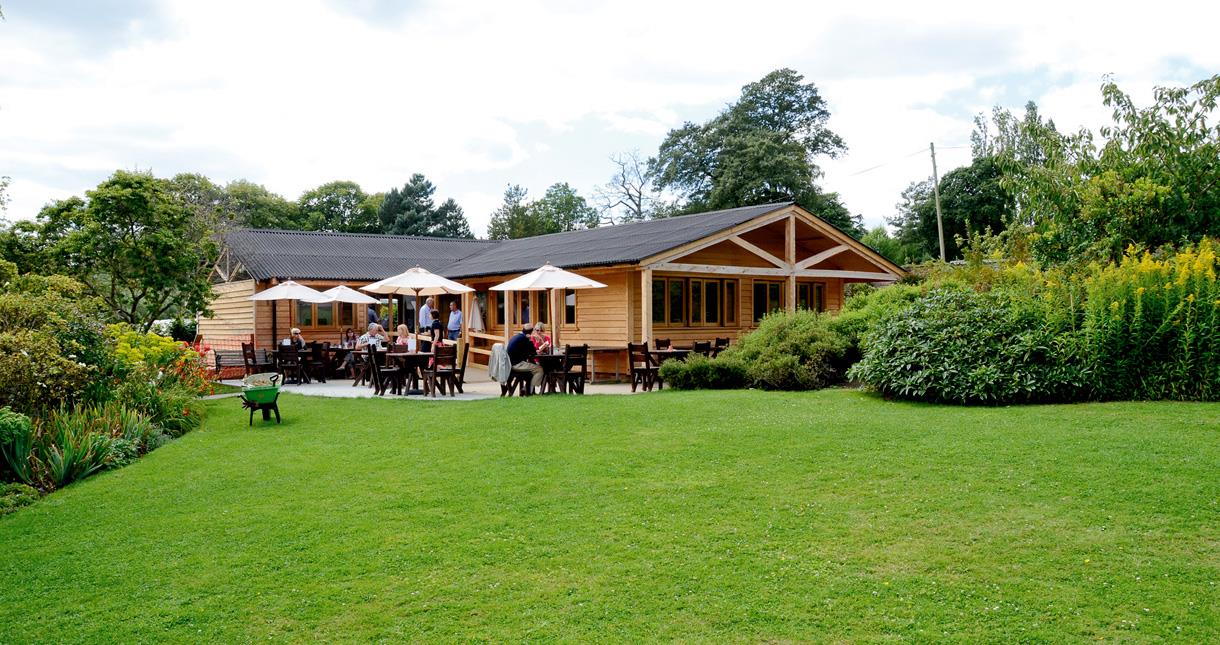 Things to do in Shanklin - Visit Isle Of Wight