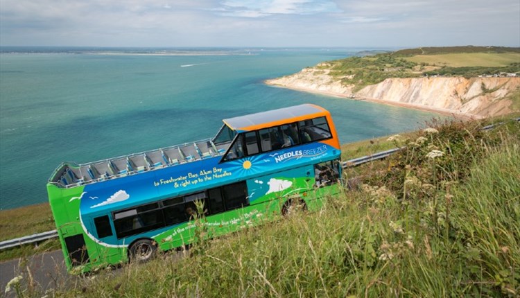 vector buses isle wight