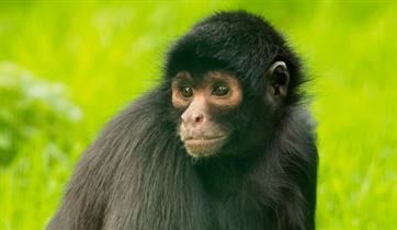Wildheart Animal Sanctuary - SANDOWN - Visit Isle Of Wight