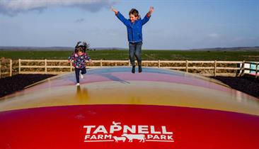 Tapnell Farm Park - YARMOUTH - Visit Isle Of Wight