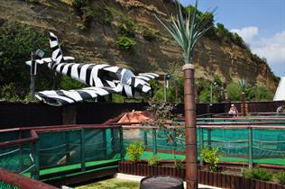 Shanklin Seafront - SHANKLIN - Visit Isle Of Wight