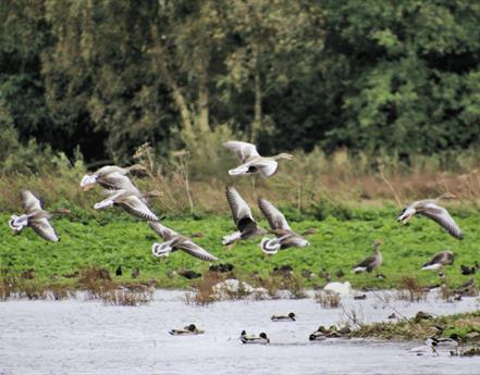 Explore Lancashire Wildlife Nature Reserves this #WorldWildlifeDay