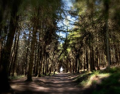 Chorley - Visit Lancashire