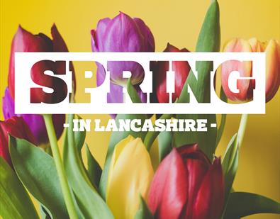 Lancaster - Visit Lancashire