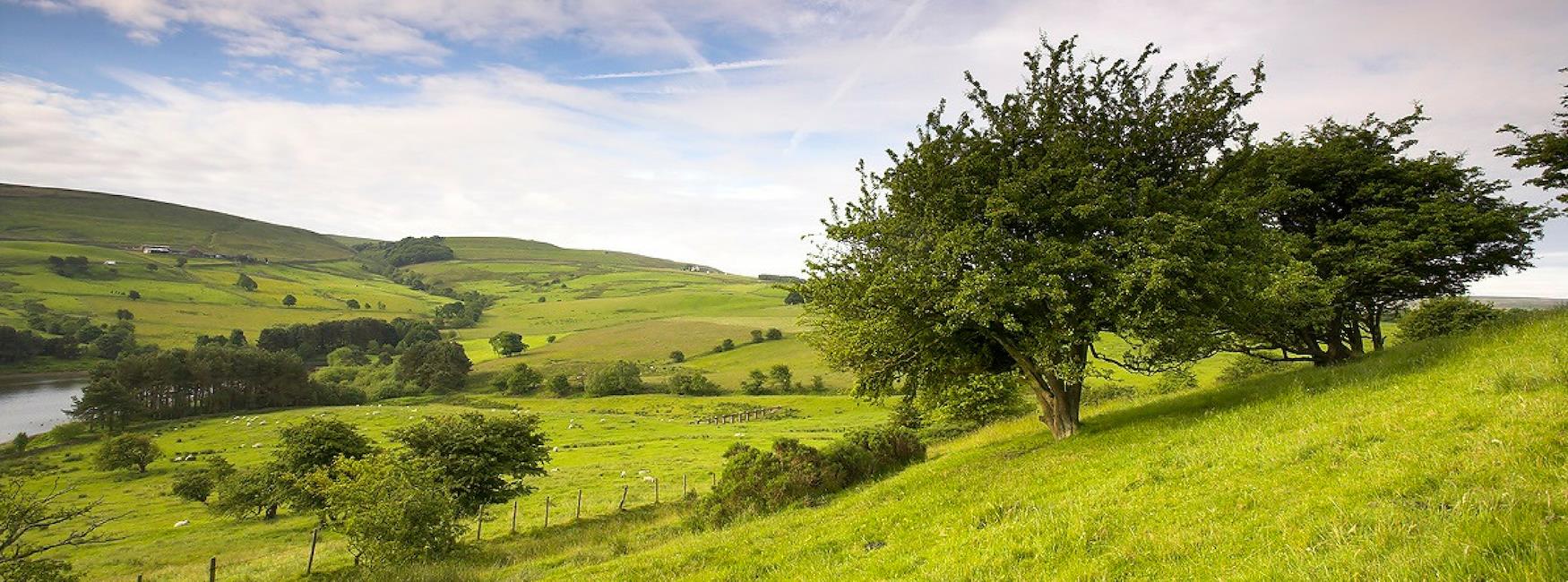 Blackburn - Visit Lancashire