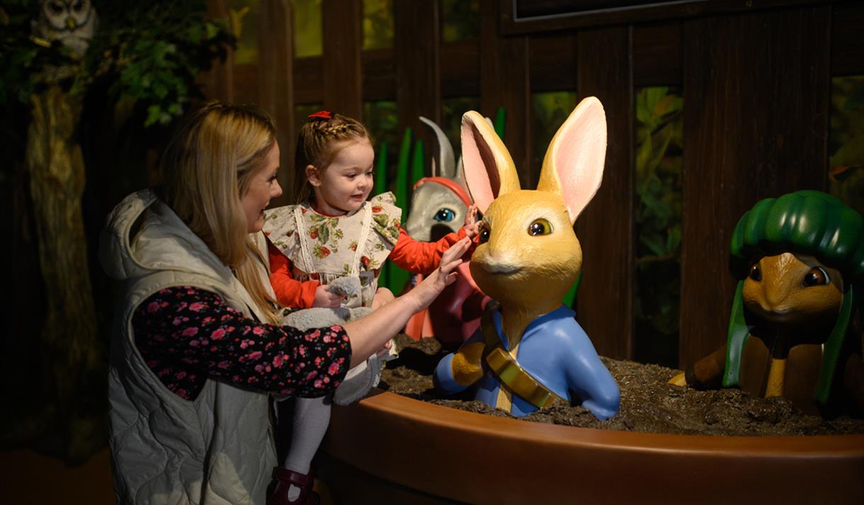peter rabbit blackpool