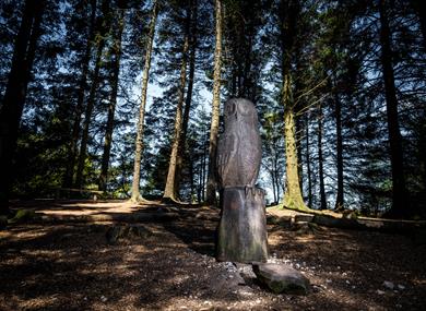 Beacon Fell Country Park - Country Park/Nature Reserve in Preston ...